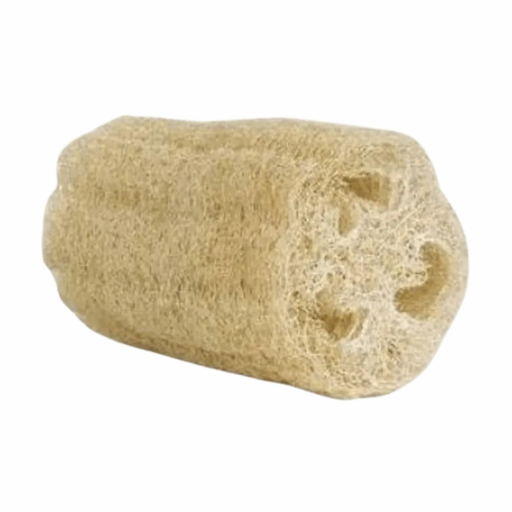 Bucha Vegetal Ricca Natural Pedaço 14cm |Drogaria Globo - Drogaria Globo